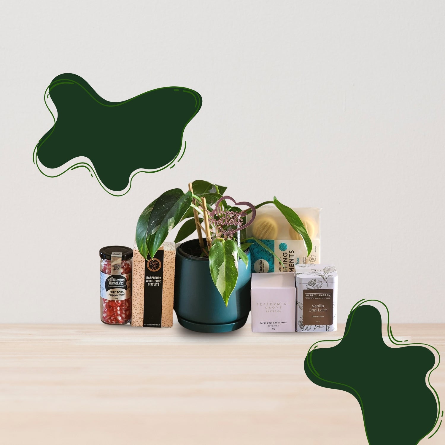 Plant Gift Delivery Tips | Style & Display – Plant Burst