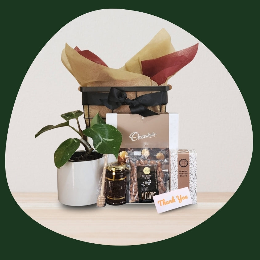 Hampers – Plant Burst
