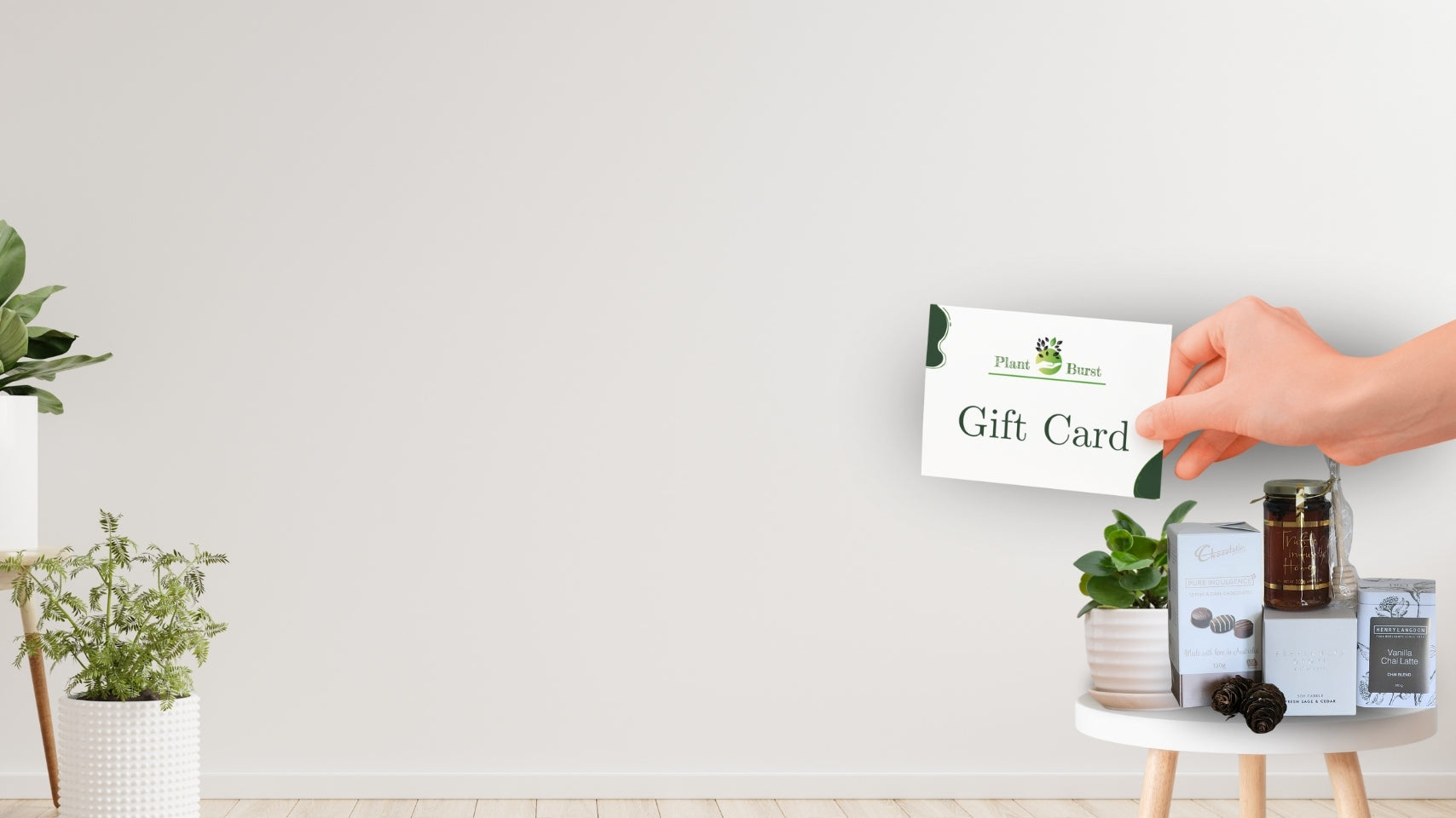 Plant Burst - Plants, Succulents & Hampers